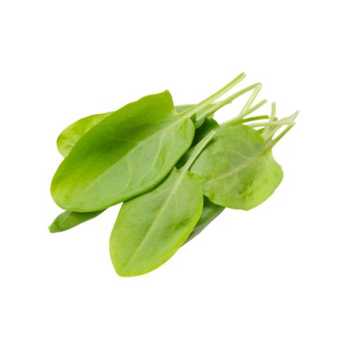 Acedera - Características, Usos y Beneficios - Fitoterapia - Reino ...